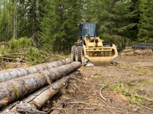 Right of Way Clearing 101 | Stronghold Vegetation Management